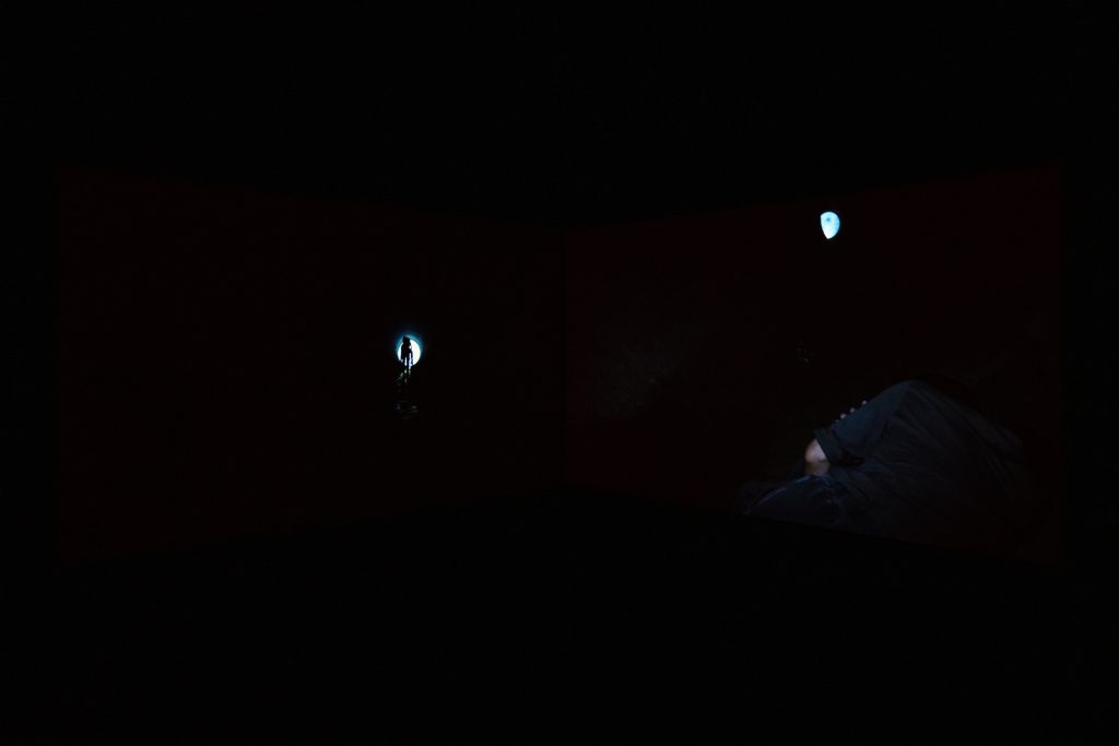 Echo, Moss and Spill — PAN DAIJING