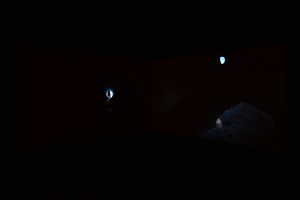 Echo, Moss and Spill — PAN DAIJING